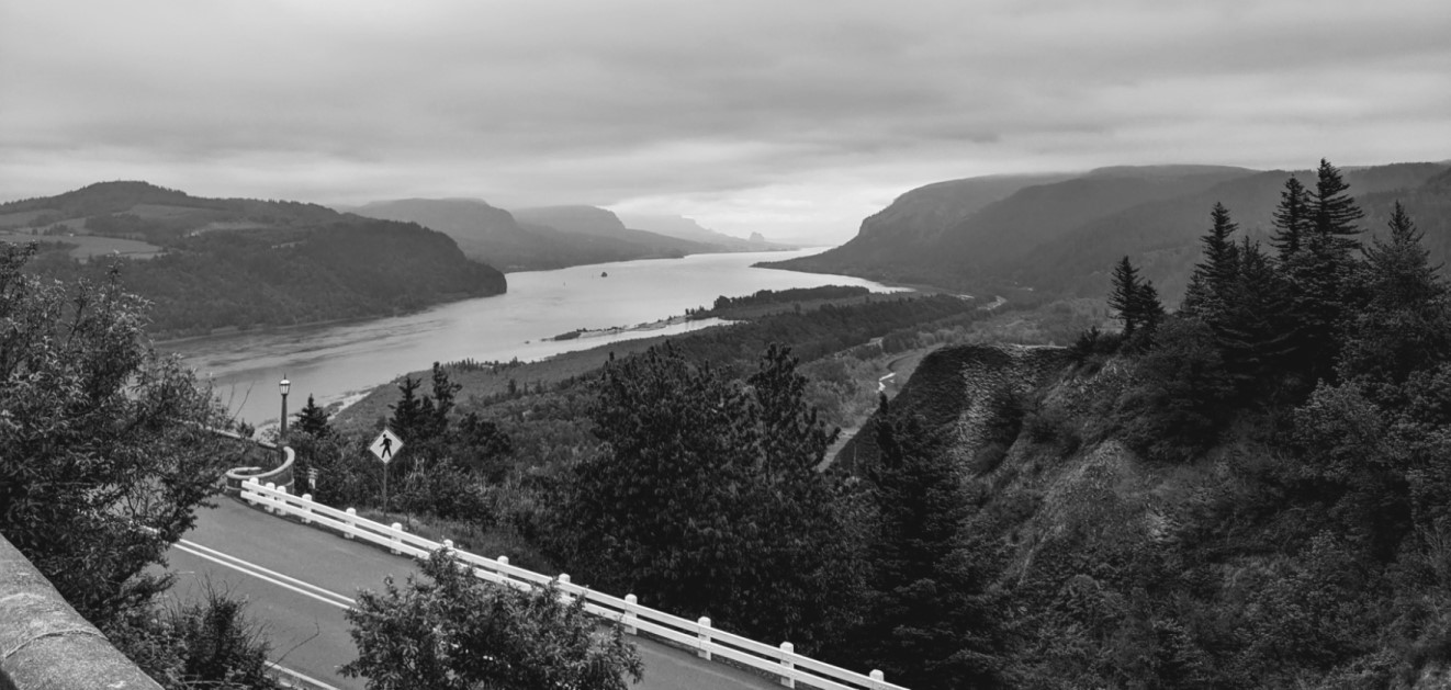 Taylor Moyle | Developer